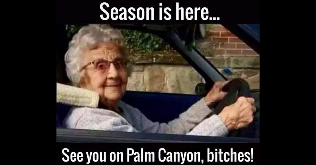 Let's Make New Snowbird Memes for 2016 - Cactus Hugs